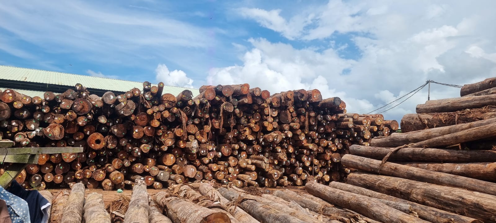 Toko Kayu di Batam | Sawmill | Pabrik Kayu » | +62852 7212 7888 | PT ...
